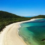 Cairns: Cape Tribulation, Beaches, Crocs & Swimming Day Tour - In-Depth Look at the Tour Experience