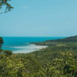 Cairns: Cape Tribulation & Daintree Rainforest Premium Tour - Mossman Gorge: A Refreshing Encounter with Nature