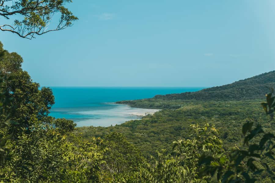 Cairns: Cape Tribulation & Daintree Rainforest Premium Tour - Mossman Gorge: A Refreshing Encounter with Nature