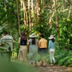 Cairns: Cattana Wetlands, Barron Falls & Kuranda Railway - Practical Details & What to Expect
