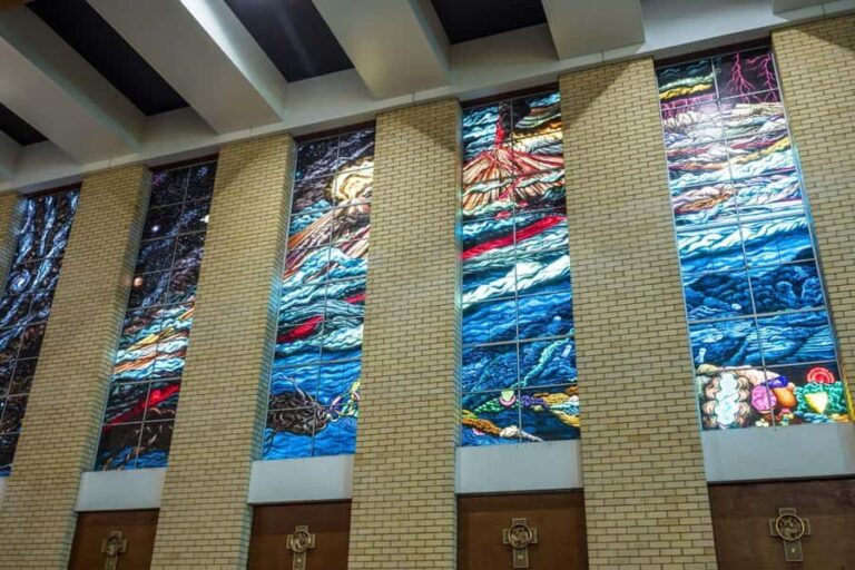 Cairns City: Cairns Koala & Creatures + City Sights Tour - The Value for Different Travelers