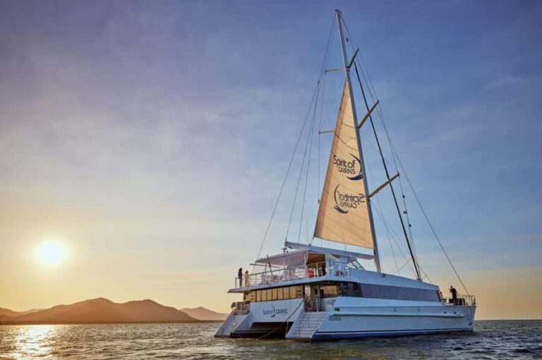 Cairns: City Sights Tour with Evening Dinner Cruise - A Full Breakdown of the Tour Experience