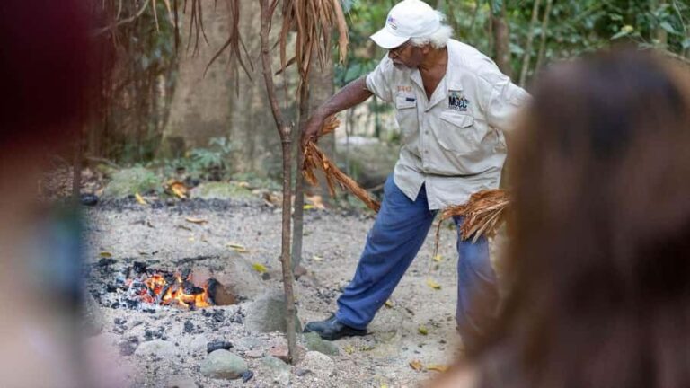 Cairns: Daintree Rainforest and Mossman Gorge Tour - Transportation, Duration, and Group Size