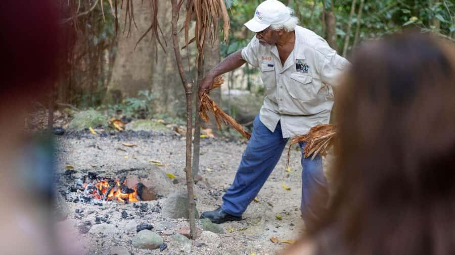 Cairns: Daintree Rainforest and Mossman Gorge Tour - Transportation, Duration, and Group Size