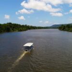 Cairns: Daintree Rainforest Wildlife Experience Cruise - The Crocodile Spotting Experience