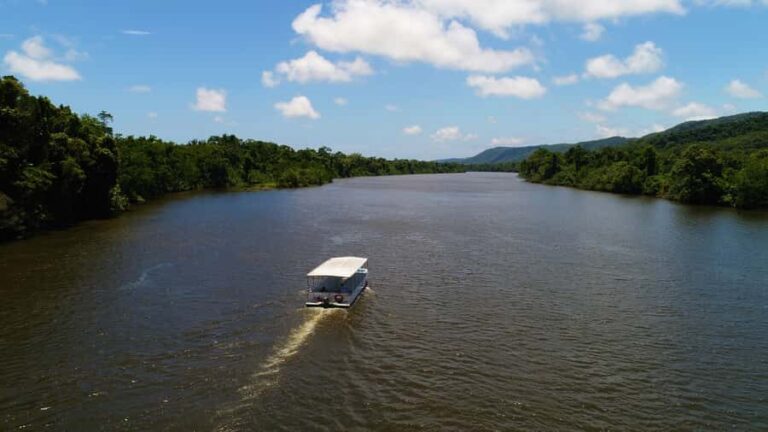 Cairns: Daintree Rainforest Wildlife Experience Cruise - The Crocodile Spotting Experience