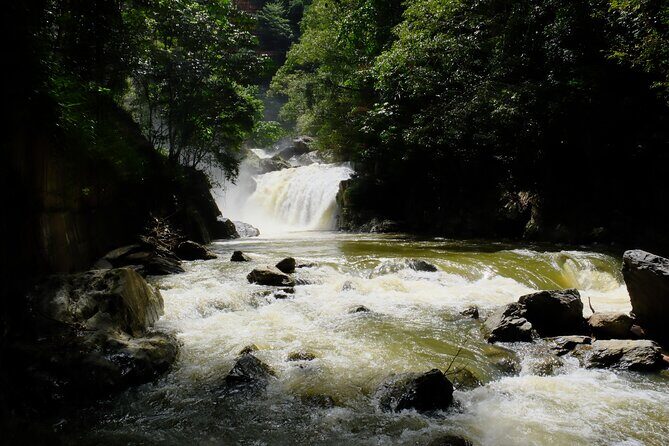 Cairns Day Tour Private Waterfall - Frequently Asked Questions (FAQs)