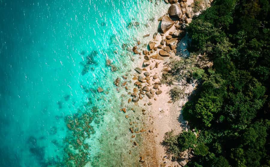 Cairns: Fitzroy Island Ferry with Optional Lunch & Activity - Who Should Consider This Tour?