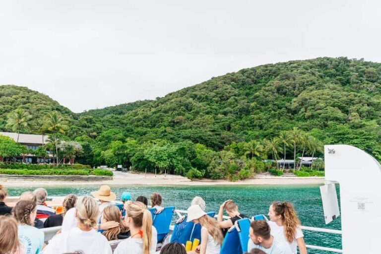 Cairns: Fitzroy Island Half-Day with Optional Extras - The Itinerary: What to Expect on Your Fitzroy Island Half-Day