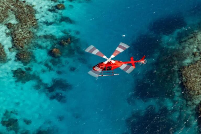 Cairns: Great Barrier Reef 30-Minute Helicopter Flight - The Scenic Highlights