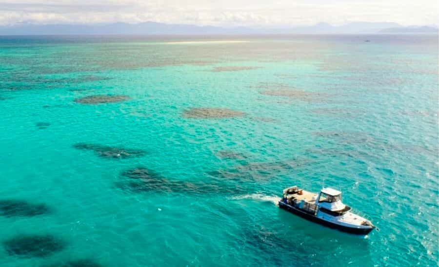 Cairns: Great Barrier Reef Fishing Charter with Lunch - What Makes This Tour Stand Out?