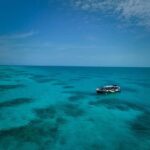 Cairns: Great Barrier Reef Half-Day Snorkelling Tour - Discovering the Tour Experience