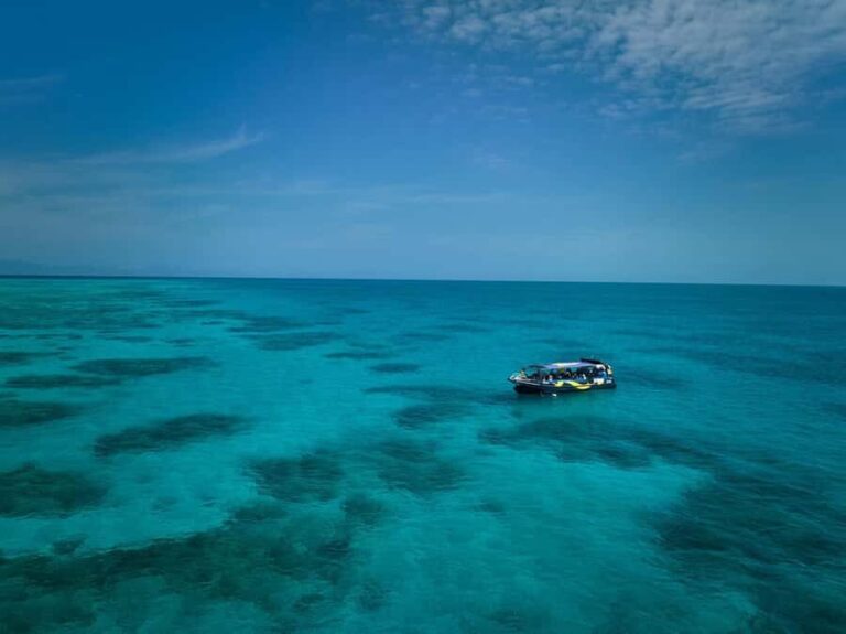Cairns: Great Barrier Reef Half-Day Snorkelling Tour - Discovering the Tour Experience