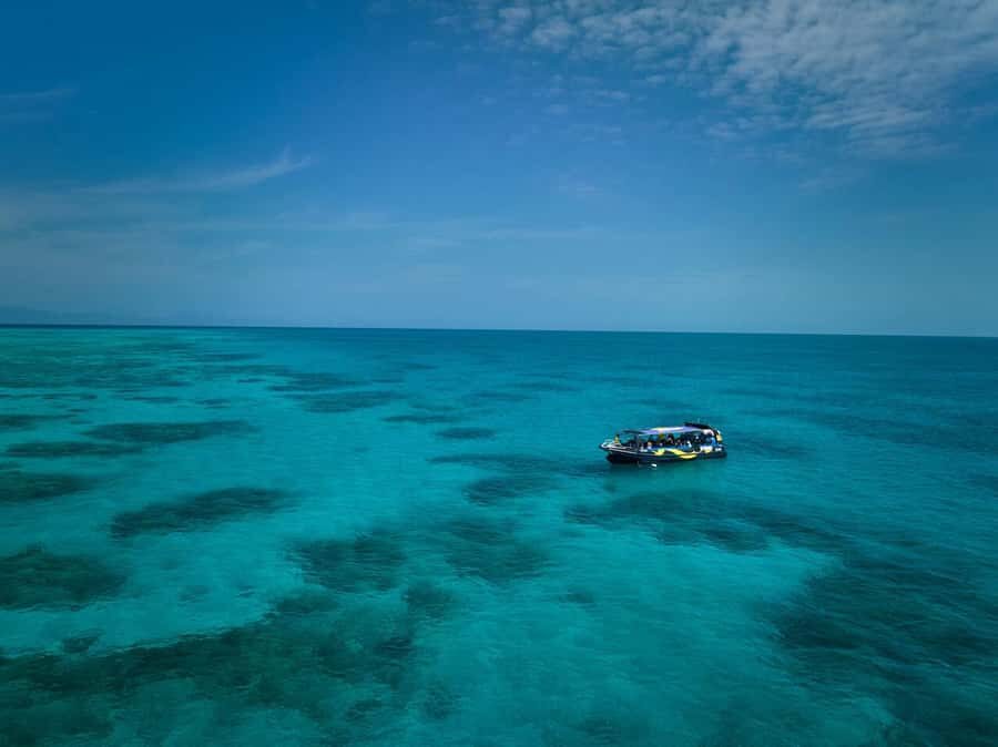 Cairns: Great Barrier Reef Half-Day Snorkelling Tour - Discovering the Tour Experience