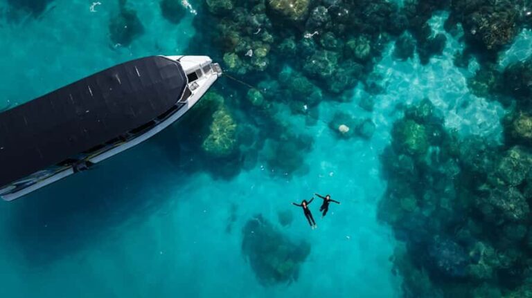 Cairns: Great Barrier Reef Small Group Snorkelling Tour - Practical Details: What You Need to Know