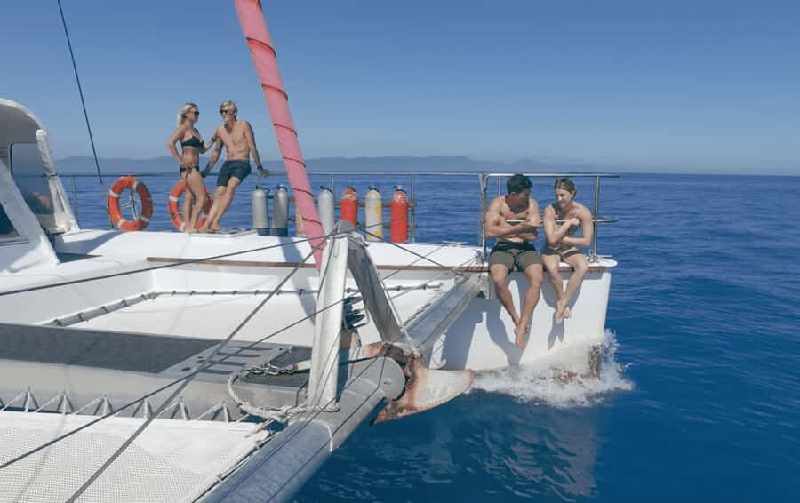 Cairns: Great Barrier Reef Snorkeling Tour with Lunch - What Makes This Tour Stand Out?