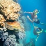 Cairns: Green Island Snorkelling or Glass Bottom Boat - The Sum Up