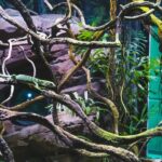 Cairns: Guided Twilight Tour of the Aquarium - Practical Details: What You Need to Know