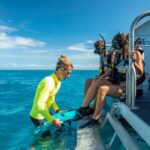 Cairns: Half-Day Outer Reef Snorkel Tour - The Itinerary Breakdown