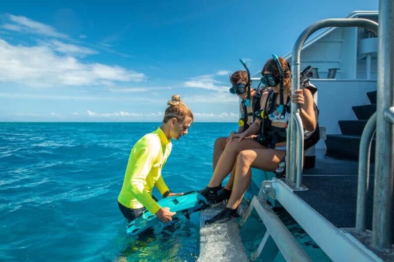 Cairns: Half-Day Outer Reef Snorkel Tour - The Itinerary Breakdown