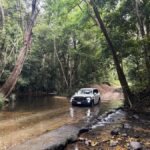 Cairns: Half-Day Premium 4WD Rainforest & Waterfall Tour - The Itinerary Breakdown: What Makes Each Stop Special