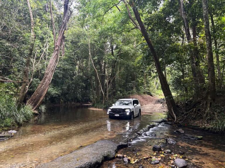 Cairns: Half-Day Premium 4WD Rainforest & Waterfall Tour - The Itinerary Breakdown: What Makes Each Stop Special