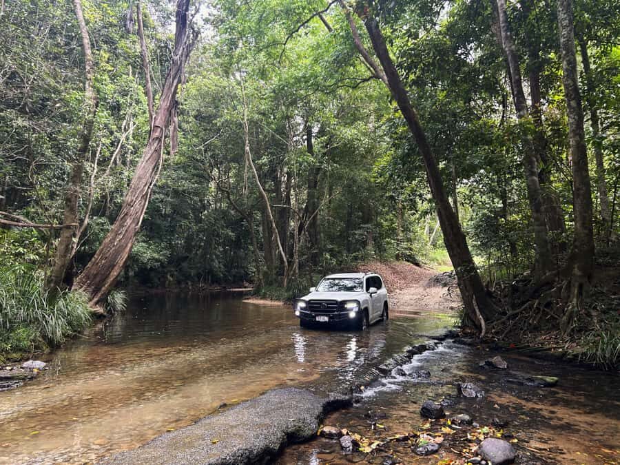 Cairns: Half-Day Premium 4WD Rainforest & Waterfall Tour - The Itinerary Breakdown: What Makes Each Stop Special