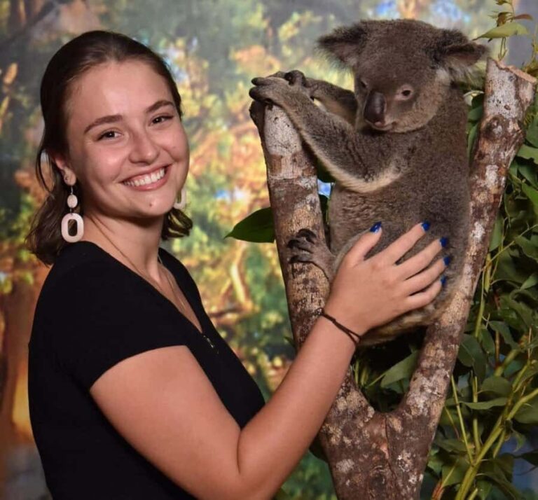 Cairns Koalas and Creatures Entry Ticket with Koala Photo - What to Expect During Your Visit