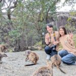 Cairns: Mareeba Wildlife and Coffee Tour - Who Should Consider This Tour?