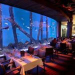 Cairns: Night at the Aquarium Guided Tour & 2 Course Dinner - FAQ