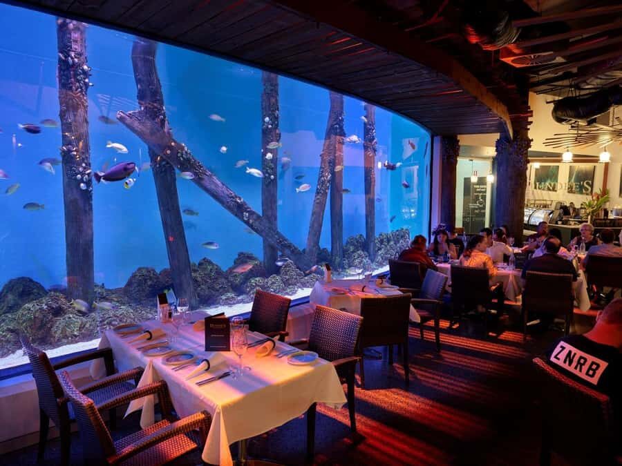 Cairns: Night at the Aquarium Guided Tour & 2 Course Dinner - FAQ