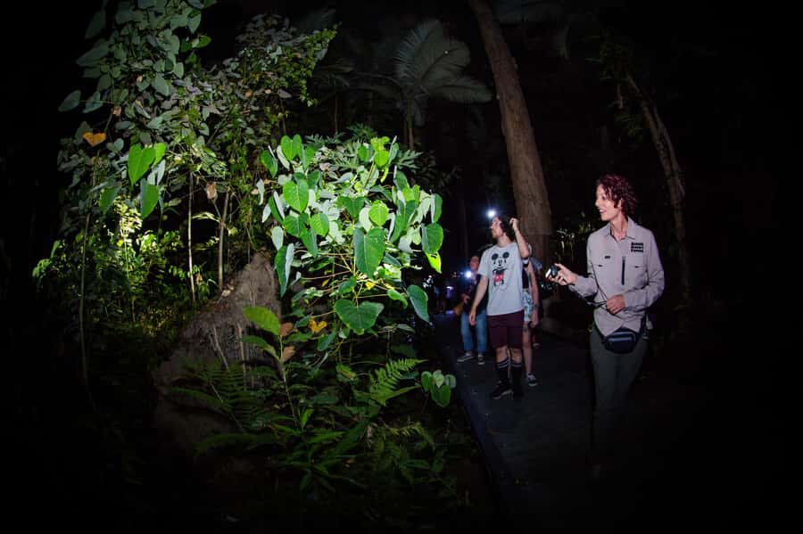 Cairns: Night Walk in Cairns Botanic Gardens - Why This Tour Offers Great Value