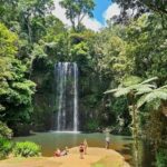 Cairns: Paronella, Lake Barrine & Millaa Millaa Falls Tour - Why This Tour Is Worth Considering