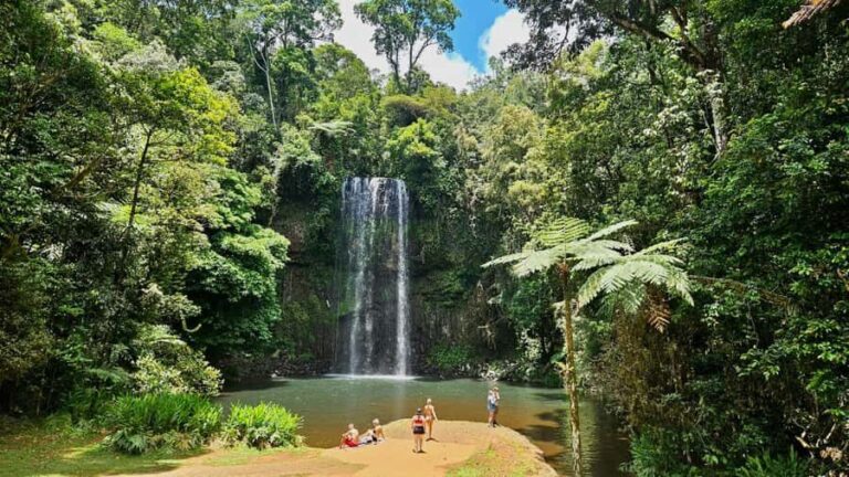 Cairns: Paronella, Lake Barrine & Millaa Millaa Falls Tour - Why This Tour Is Worth Considering