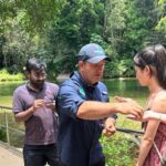 Cairns: Paronella Park Rainforest Full-Day Tour with Dinner - Who Will Love This Tour?