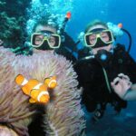 Cairns: Pro Dive Great Barrier Reef 3 Day/2 Night Dive Trip - What to Expect: The Day-by-Day Breakdown