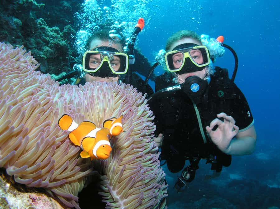 Cairns: Pro Dive Great Barrier Reef 3 Day/2 Night Dive Trip - What to Expect: The Day-by-Day Breakdown