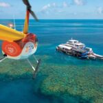 Cairns: Reef Zoom Half Day Helicopter & Snorkeling Tour - Practical Tips for Tour Day