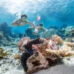 Cairns: Silverswift 3 Great Barrier Reef Sites in 1 Day - Detailed Breakdown of the Itinerary