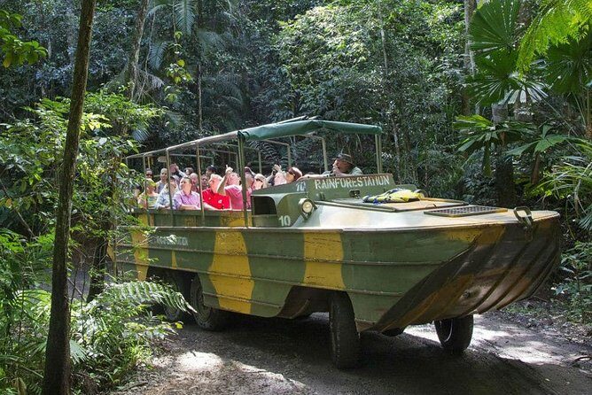 Cairns Small-Group Kuranda Tour: Skyrail & Scenic Railway - Who Is This Tour Best For?
