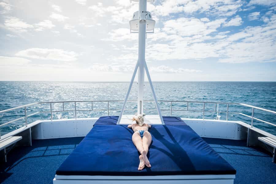 Cairns: Snorkelling and Diving Reef Day Trip - What We Love About This Reef Trip