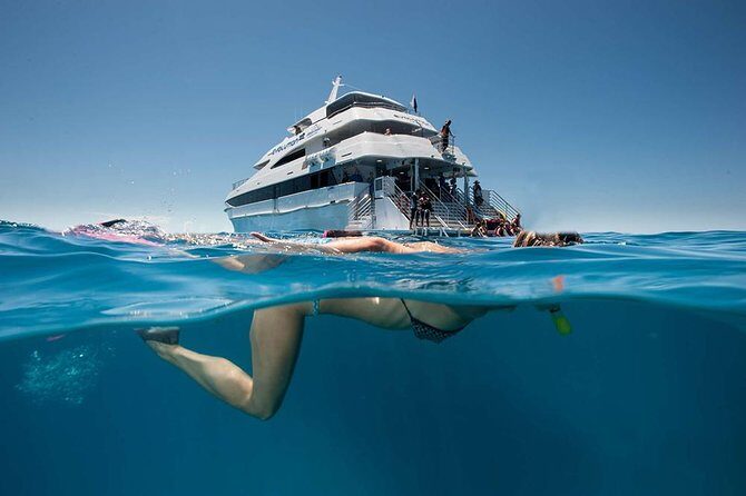 Cairns Super Saver: Reef Cruise, Daintree & Kuranda Rail/Skyrail - Itinerary Breakdown: What to Expect Day by Day