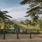 Cairns to Daintree Cape Tribulation 3 Day Tour via Port Douglas - Challenges or Considerations