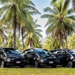 Cairns to Daintree Eco Lodge ONE WAY Private Transfer 6 pax - Comfort and Convenience