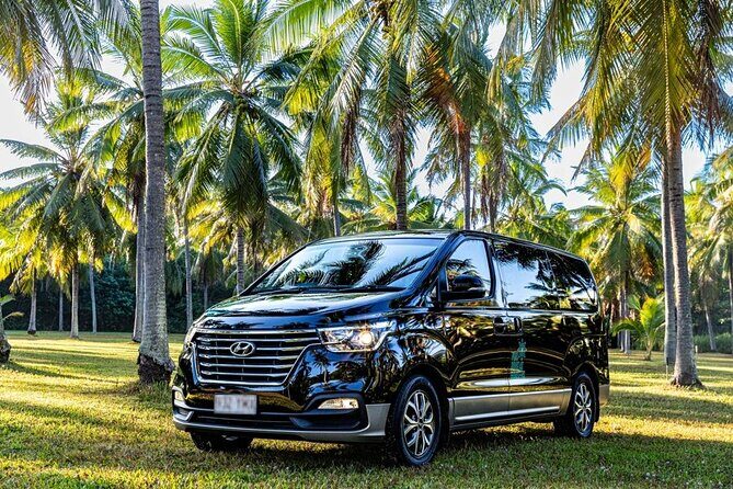Cairns to Port Douglas ONE WAY Private Transfer 6 pax - Who Will Love This Service?