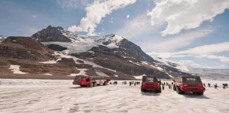 Calgary/Banff: Icefields Parkway & Columbia Icefield Tour - Final Thoughts: Who Is This Tour Perfect For?