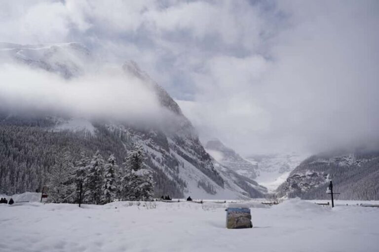 Calgary: Johnston Canyon Icefalls & Lake Louise Guided Tour - The Transport & Guided Experience