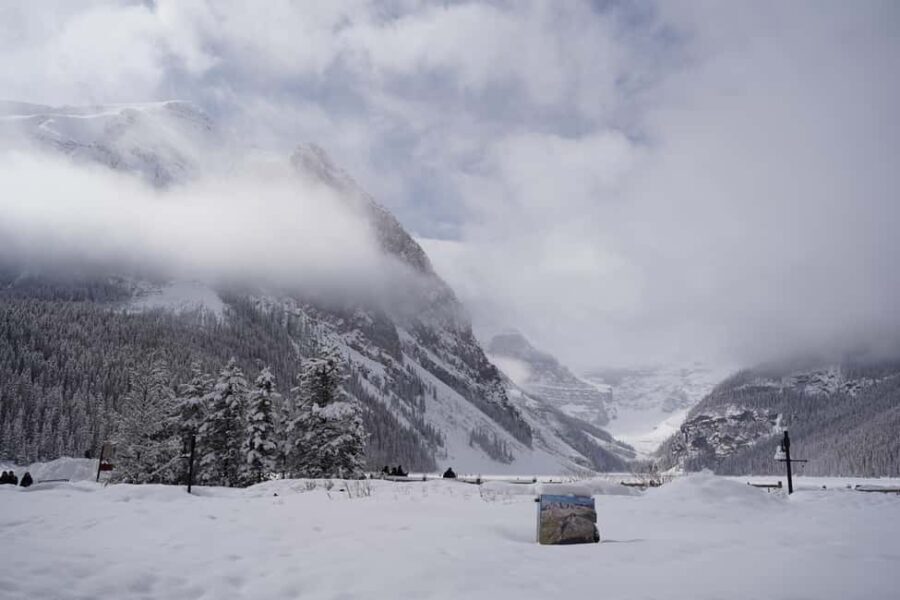 Calgary: Johnston Canyon Icefalls & Lake Louise Guided Tour - The Transport & Guided Experience