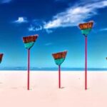 California Coastline Scenic Wildlife Photography Tour - An In-Depth Look at the California Coastline Scenic Wildlife Photography Tour