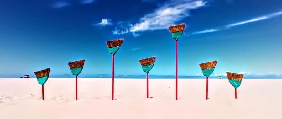 California Coastline Scenic Wildlife Photography Tour - An In-Depth Look at the California Coastline Scenic Wildlife Photography Tour